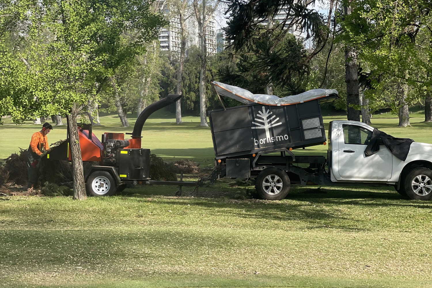 Arborismo Spa. – Expertos en el cuidado y manejo de árboles, a la ...