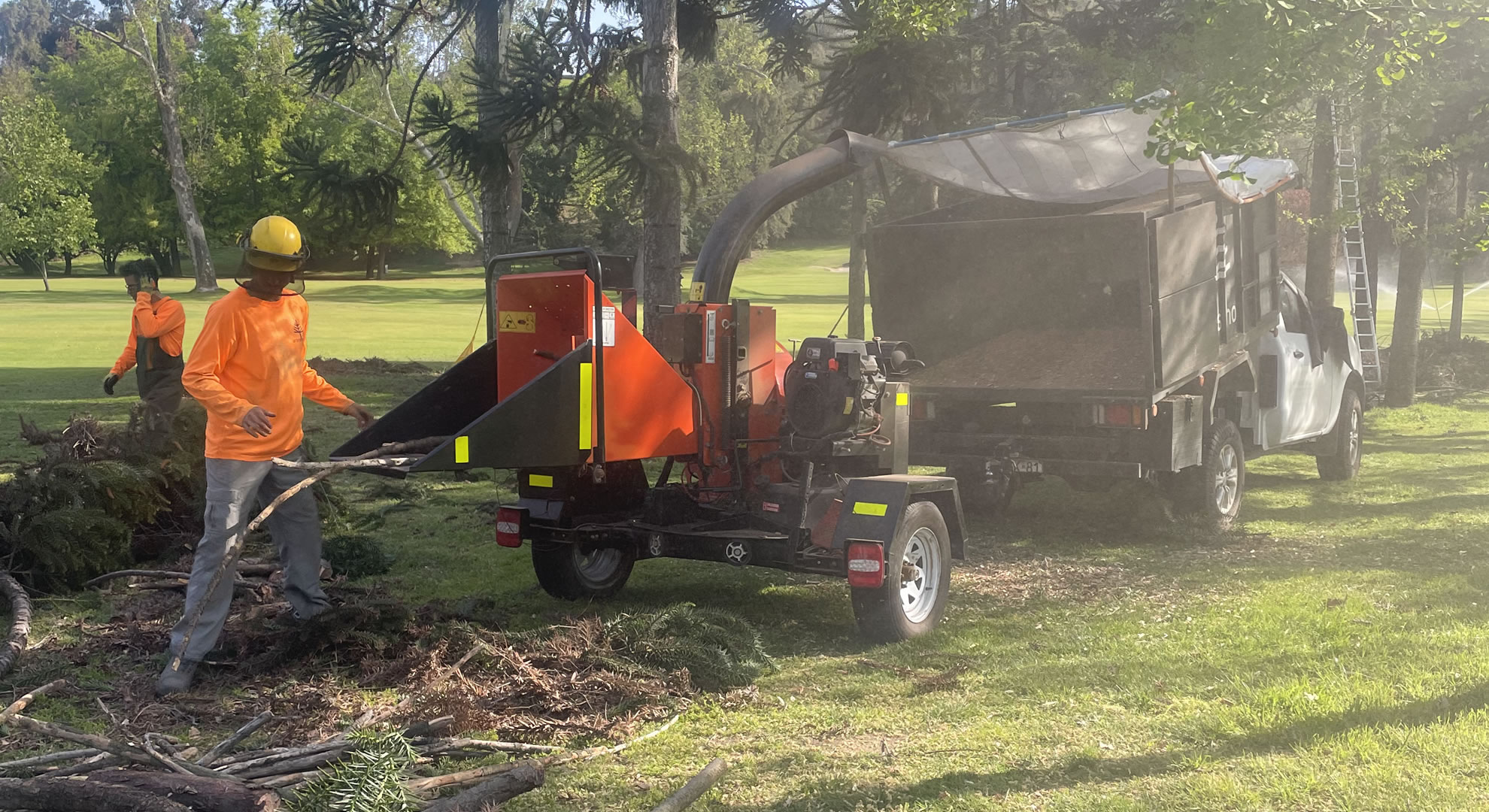 Chipeado de Ramas y Biomasa – Arborismo Spa.
